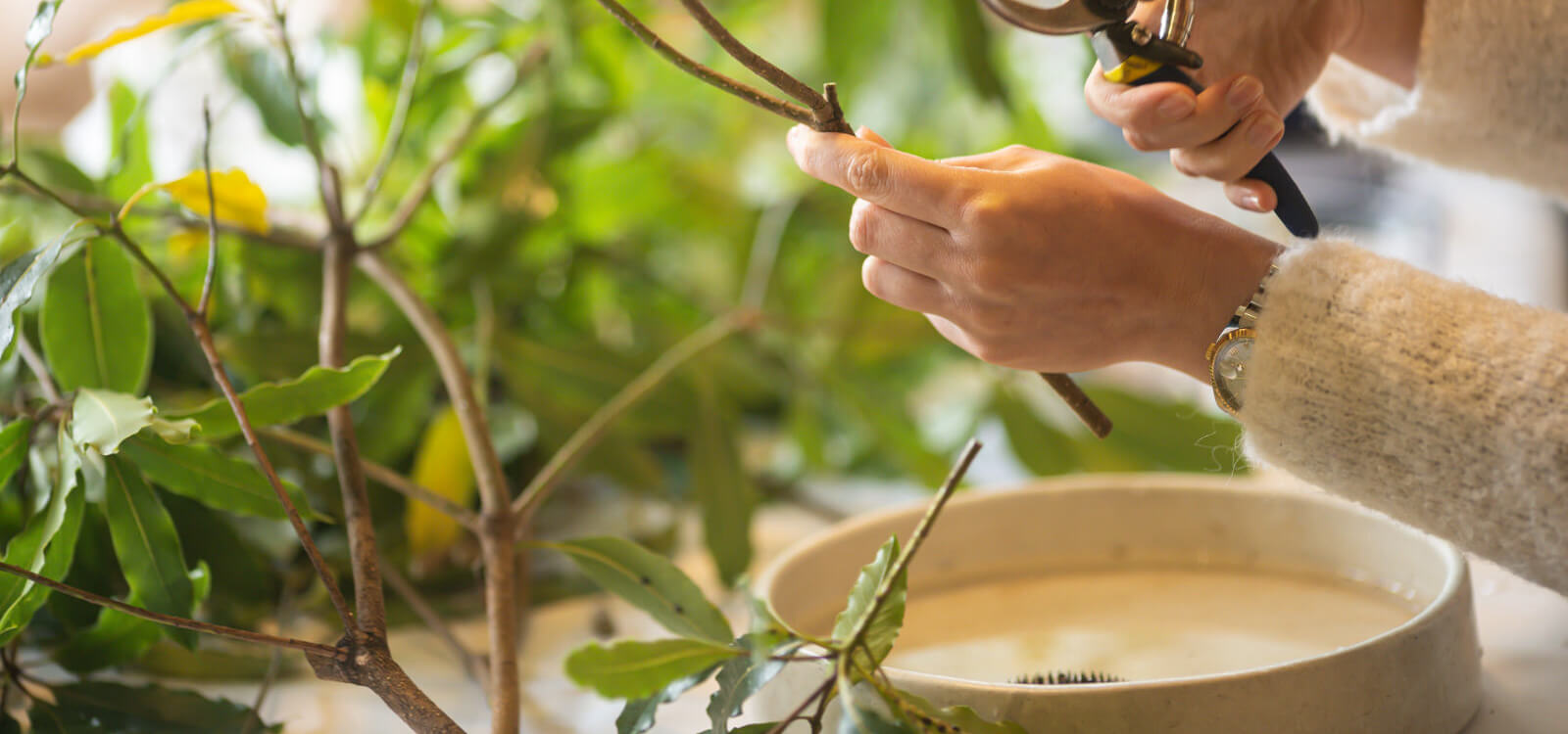 Let Your Interior Style Blossom with Manchester Floristry Classes ...