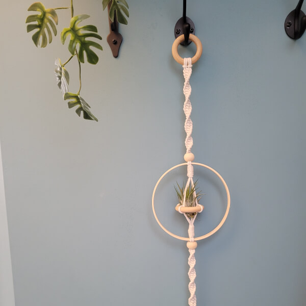 Macrame Air Plant Hanger Workshop for Beginners Birmingham | ClassBento