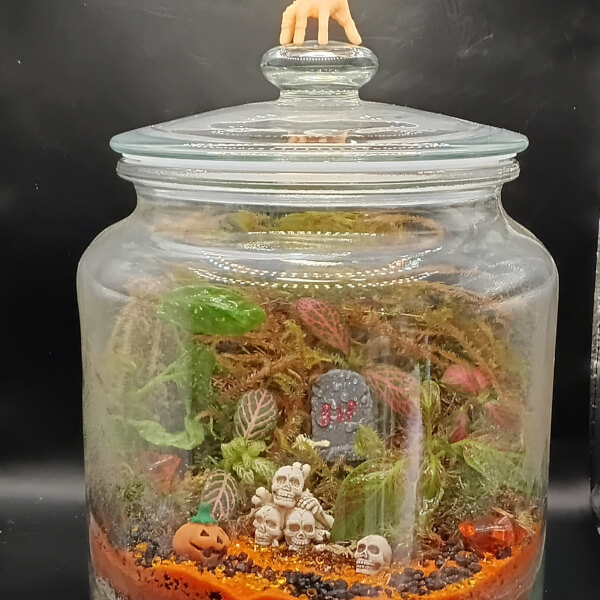 Spooky Terrarium Creation Workshop Rushden | Gifts | ClassBento