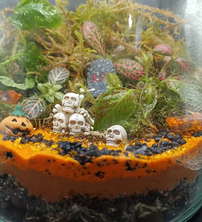 Spooky Terrarium Creation Workshop Rushden | Gifts | ClassBento
